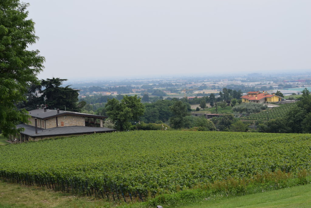 Top 10 Wineries To Visit In Franciacorta, Italy - Sip on this Juice